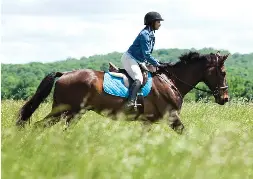 Ensuring everyone feels valued in the horse world - PressReader