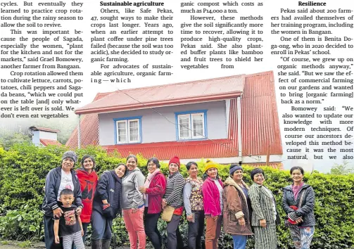 Sagada farmers return to their roots - PressReader