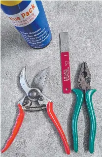 Cutting edge care - PressReader