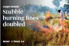Stubble burning nes doubled - PressReader