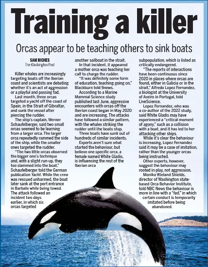 Training a killer - PressReader