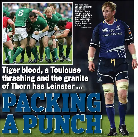 Tiger blood, a Toulouse thrashing and the granite of Thorn has Leinster ... PACKING A PUNCH ...