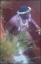 Kubulawe inyanga 'ebicupha' inqunu - PressReader