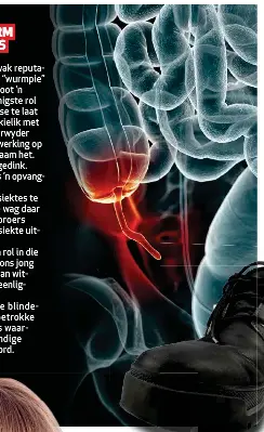 DIE BLINDEDERM BETEKEN NIKS - PressReader