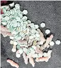 P7.6-M ecstasy pills intercepte­d at Clark - PressReader