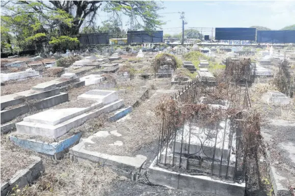 Councillor calls for tax on funeral homes to maintain cemeteries - PressReader