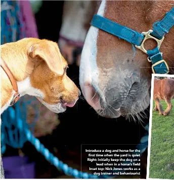 Meet and greet - PressReader