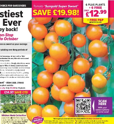 Greens target ‘property hoarding tax avoiders’ - PressReader