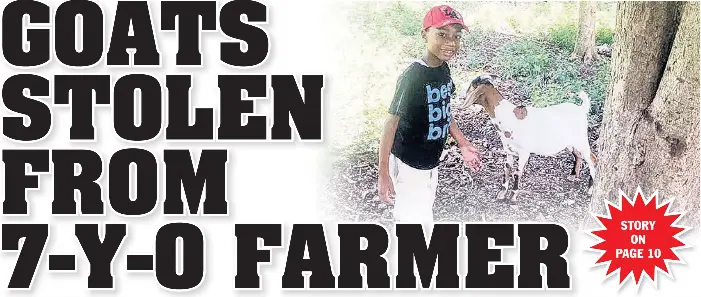 GOATS STOLEN FROM 7-Y-O FARMER - PressReader