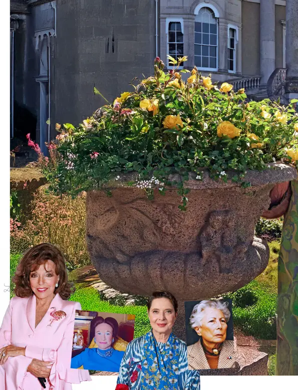 Joan’s greatest act FROM DAME TO DUCHESS! - PressReader