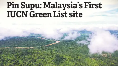 Pin Supu: Malaysia’s First IUCN Green List site - PressReader
