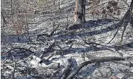 Crews keep fires contained along the NC border - PressReader