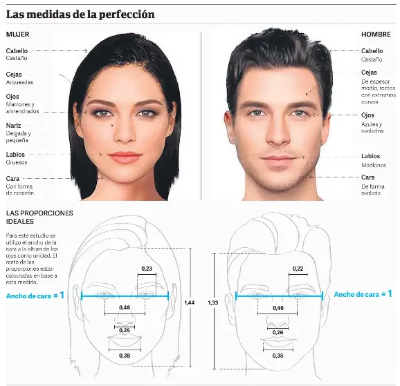 Diseñan en Europa el rostro perfecto del hombre y la mujer - PressReader