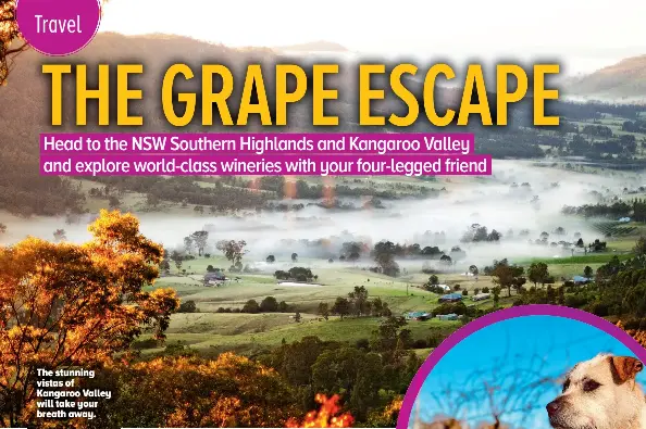 THE GRAPE ESCAPE - PressReader