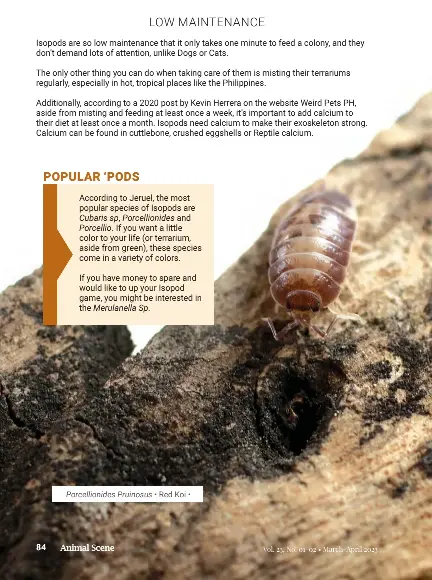 LOW MAINTENANC­E - PressReader