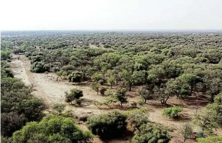 Africa’s Great Green Wall to miss 2030 goal says UN desertific­ation ...