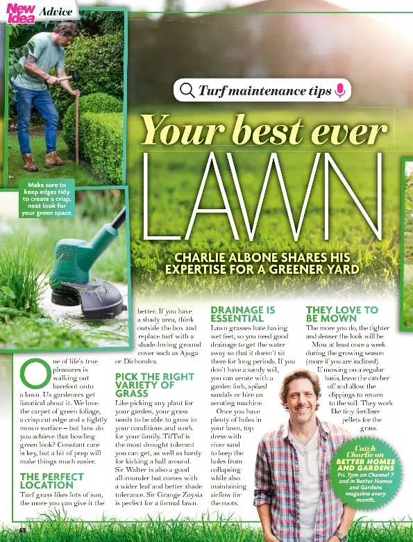 Your best ever LAWN - PressReader