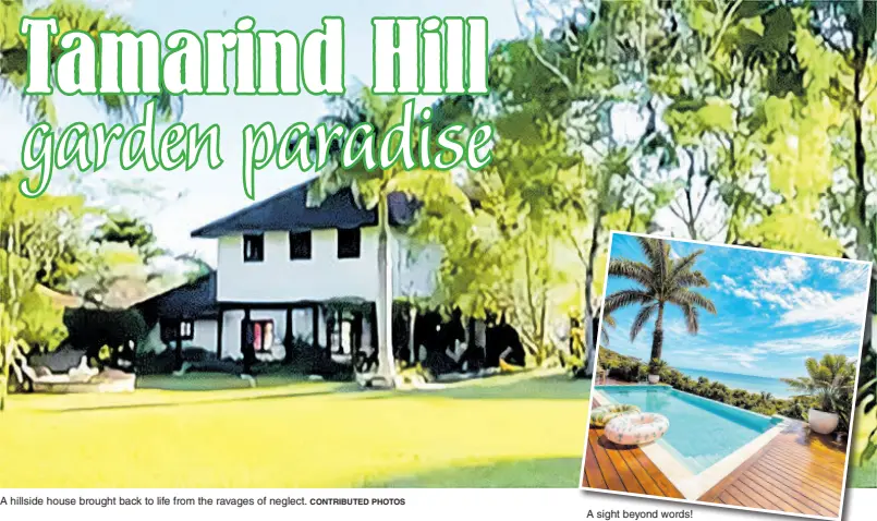 Tamarind Hill garden paradise - PressReader