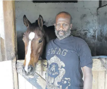 Coming in from the cold to train horses - PressReader