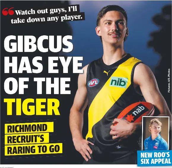 GIBCUS HAS EYE OF THE TIGER - PressReader