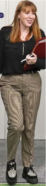 Rayner’s ‘devolution revolution’ risks local elections being axed and higher council tax ...