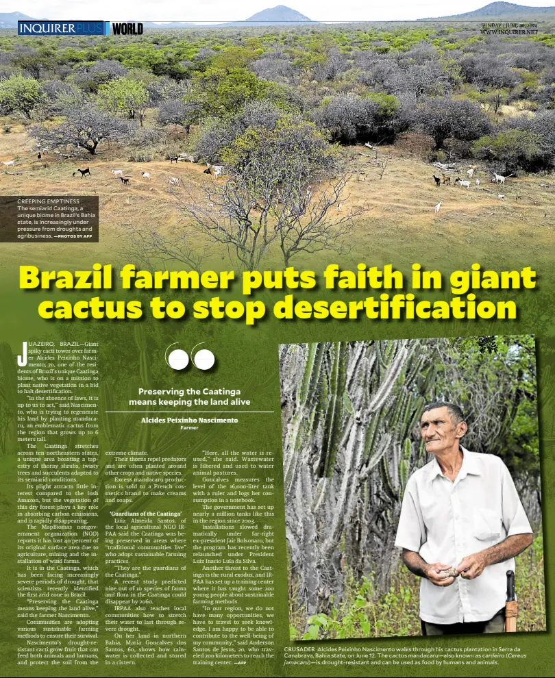 Brazil farmer puts faith in giant cactus to stop desertific­ation - PressReader