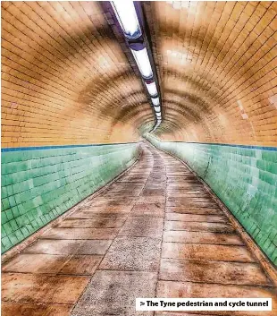 Tunnel reaches shortlist of our favourite paths - PressReader