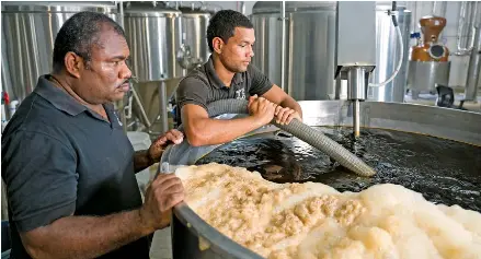 Fiji’s Very Own Blue Turtle Gin Wins Gold Medal in London - PressReader