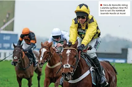 Triumph favourite Lulamba sparkles on bow at Ascot - PressReader