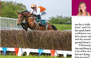 Steely recovers his spark - PressReader