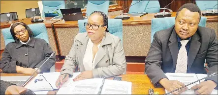 ESR wants E12m debt conversion ratified without documents - PressReader