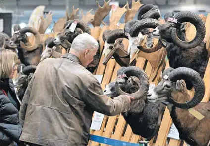 The economics of trophy hunting: Who benefits? - PressReader