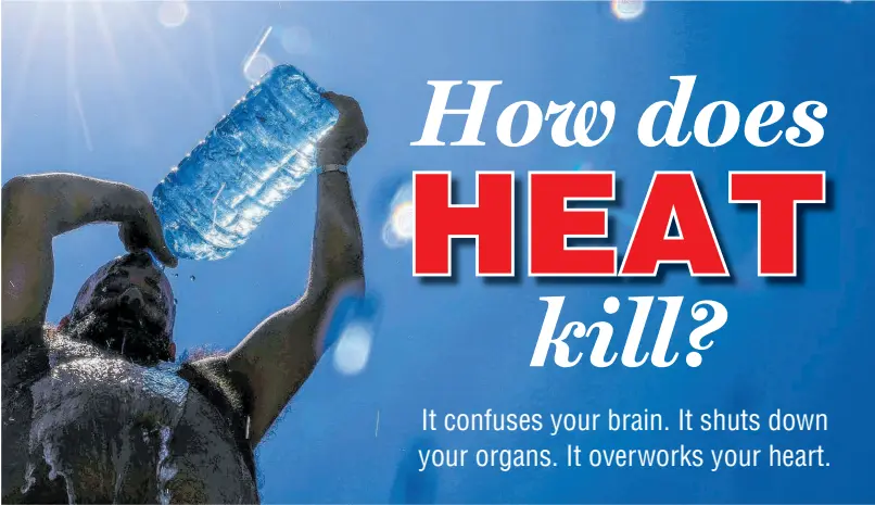 How does HEAT kill? - PressReader