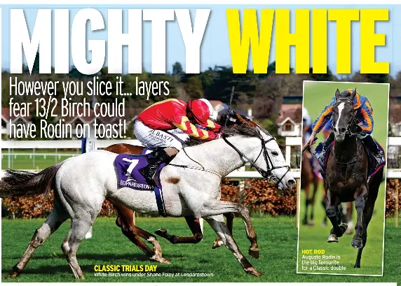 MIGHTY WHITE - PressReader
