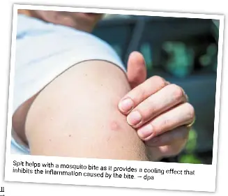 ‘Ouch, an insect bit me!’ - PressReader