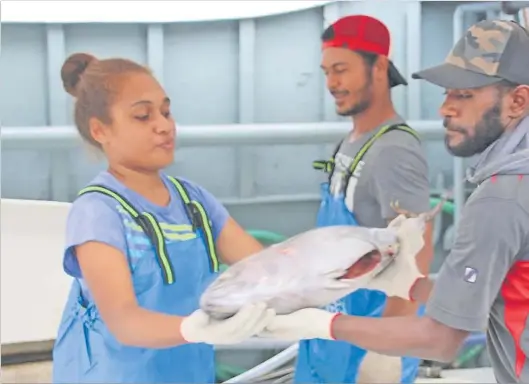 Many ‘challenges’ - PressReader