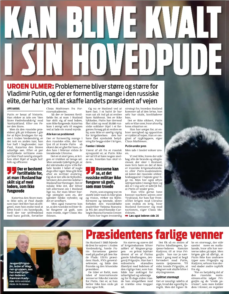 KAN BLIVE KVALT I SIN HOVEDPUDE - PressReader
