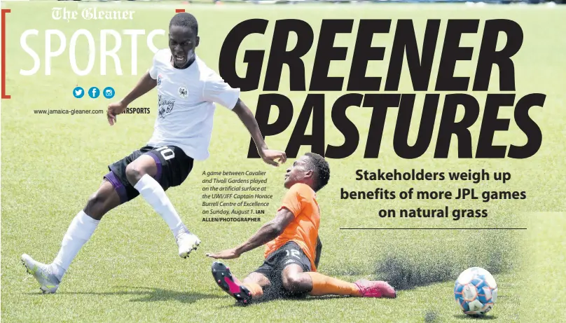GREENER PASTURES - PressReader