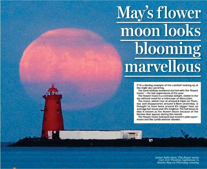 May’s f lower moon looks blooming marvellous - PressReader