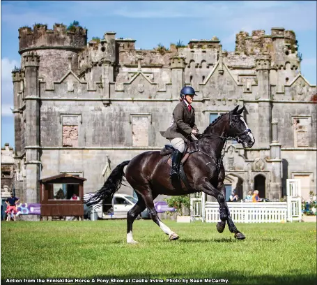 Spectacula­r display of talent at Enniskille­n Horse and Pony Show - PressReader