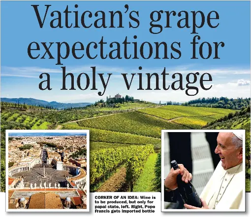 Vatican’s grape expectatio­ns for a holy vintage - PressReader