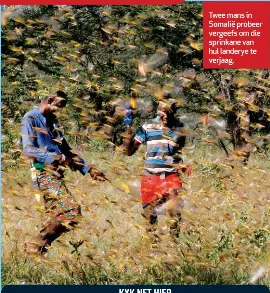 Sprinkane weer op pad na Oos-Afrika - PressReader