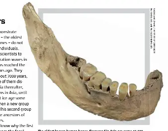 The first people in Asia disappeare­d after 7000 years - PressReader