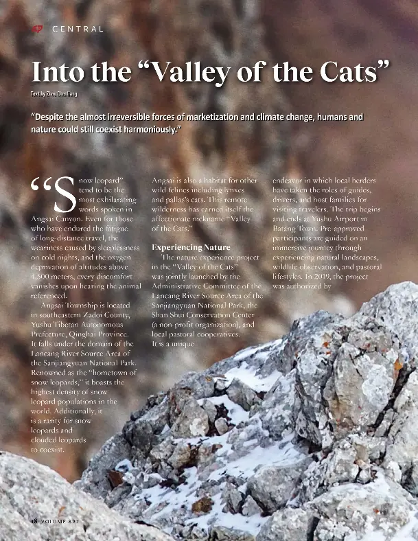 Into the “Valley of the Cats” - PressReader
