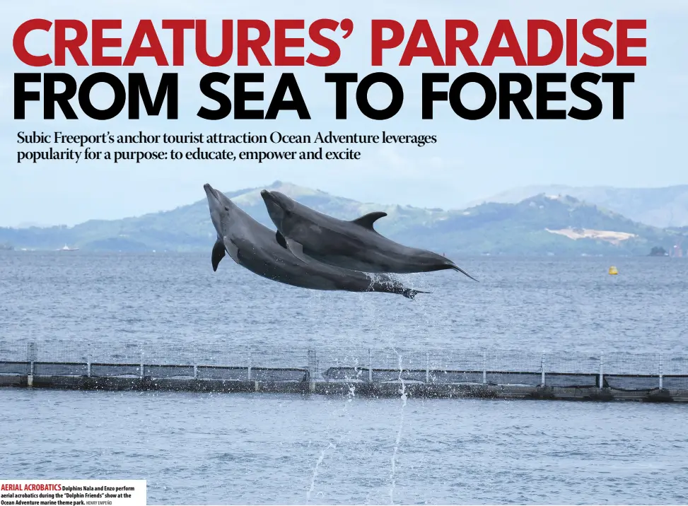 CREATURES’ PARADISE FROM SEA TO FOREST - PressReader