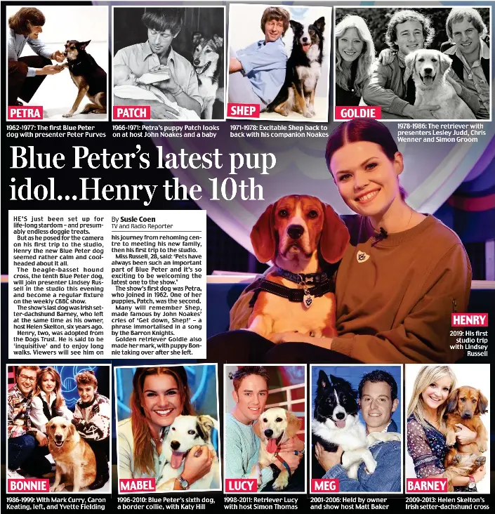 Blue Peter’s latest pup idol… Henry the 10th - PressReader