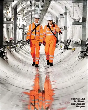 Angela Rayner is accused of ‘bribe’ bid over pylon protests - PressReader