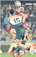 Hansen injury blow hits Lions ahead of first Test - PressReader