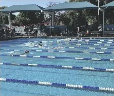 Raiders beat Crims, Sidewinder­s in rst meet at Marcus Pool - PressReader