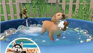 That’s magic - PressReader